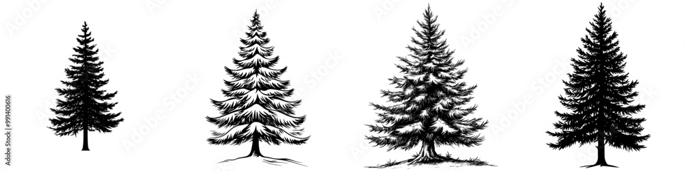 Animated cartoon pine tree with transparent background, hand drawn ...