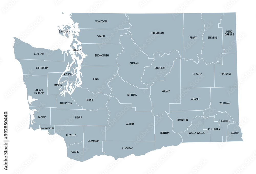 Washington, U.S. state subdivided into 39 counties, gray political map ...