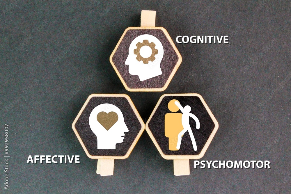 hexagon with icons of three mental domains cognitive, affective, and ...