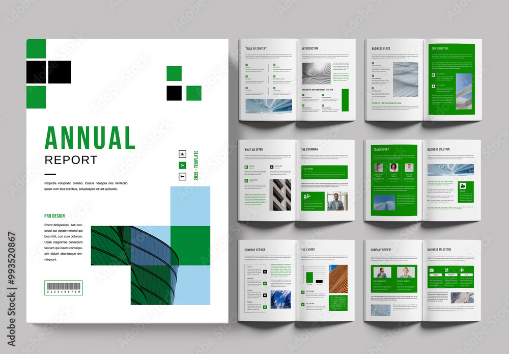 Annual Report Layout Design Template Stock Template | Adobe Stock