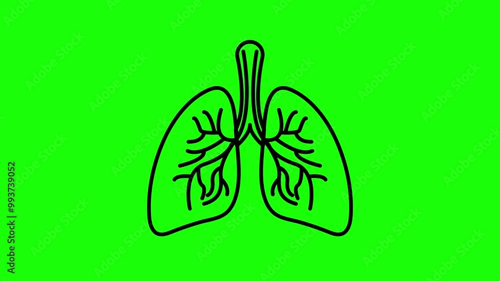 icon symbol lungs animated body organs respiration lungs and nerves ...