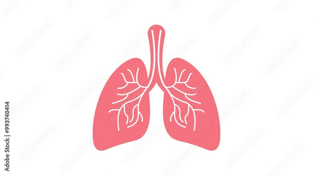 icon symbol lungs animated body organs respiration lungs and nerves ...