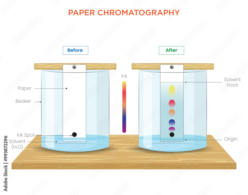 Paper Chromatography Diagram Separation of Mixtures and Pigment ...