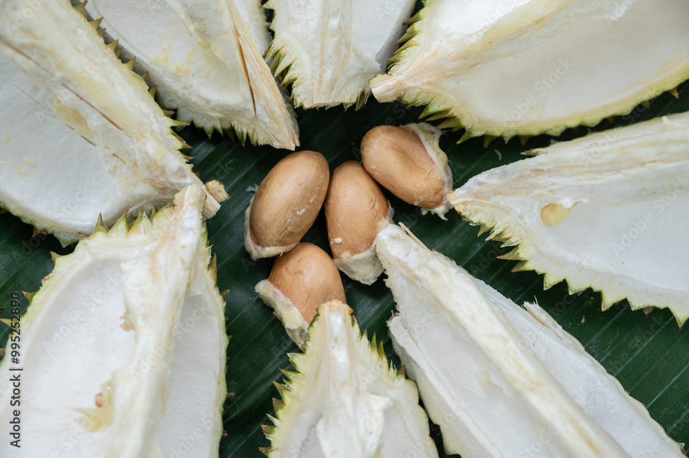 Durian seeds arranging on tray. Durian seed is one of the wastes that ...