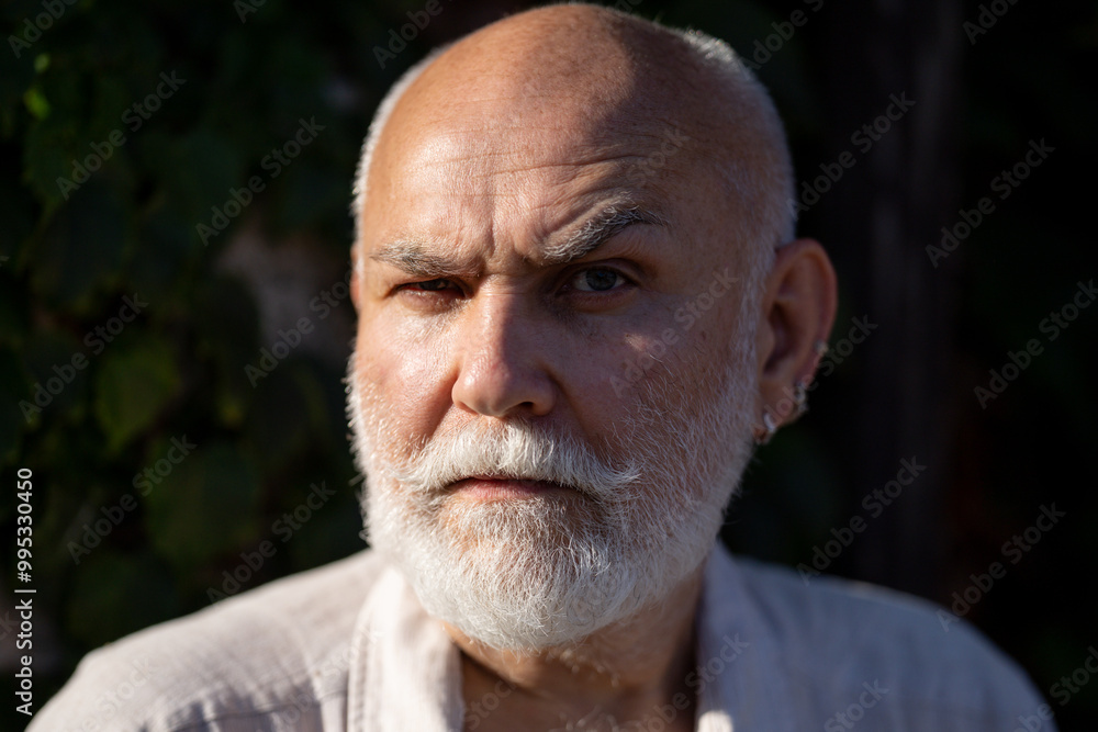 Mature senior grandfather close up portrait. Grey hair white beard old ...
