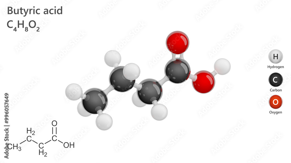 3D model of molecule Butyric acid C4H8O2. It appears as a colorless ...