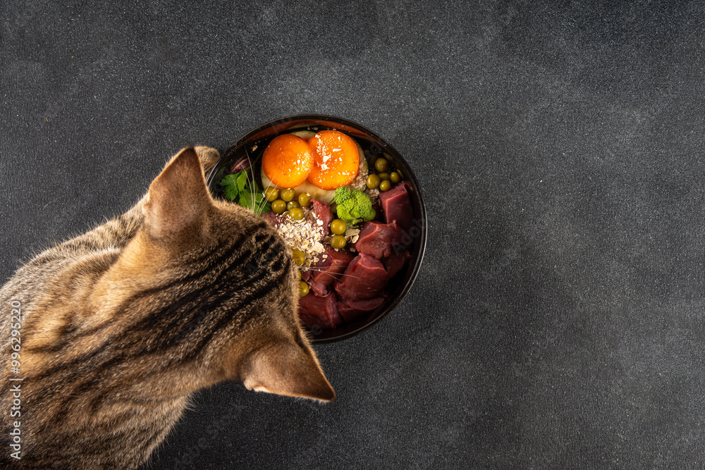 BARF (Biologically Appropriate Raw Food) food concept, Healthy bowl for ...