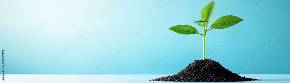 Tree of Growth Abstract Visualization of Goal Setting for SMEs - Roots ...