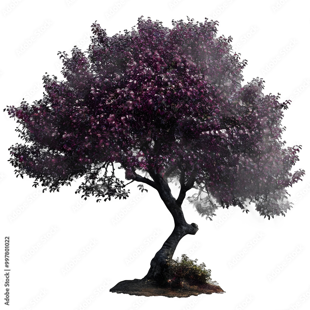 Isolated Black Plum Tree on Transparent Background Png Format, 3d Tree ...
