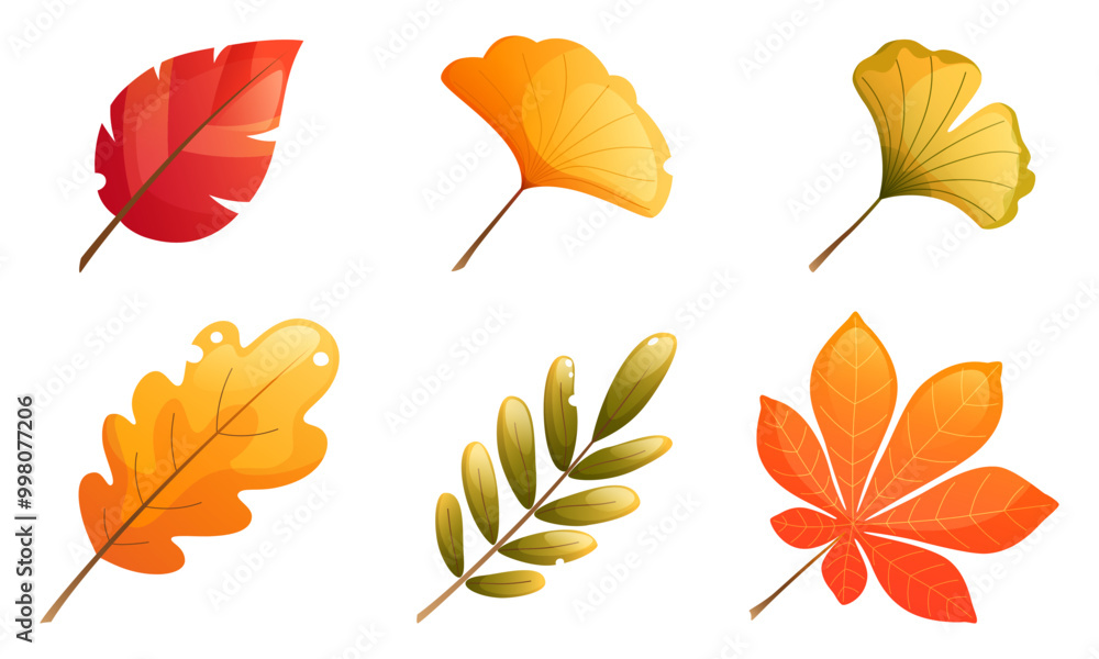 Set of autumn leaves, yellow, red, orange. Ginkgo leaf, rowan leaf ...
