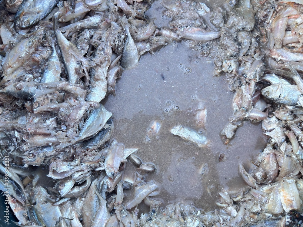 Pickled food. Pickled fish. Rotten fish are used as fertiliser for ...