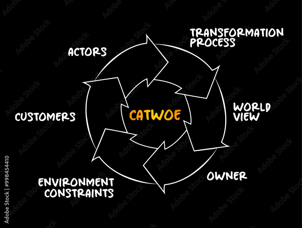 CATWOE technique - approach to understanding the various perspectives ...