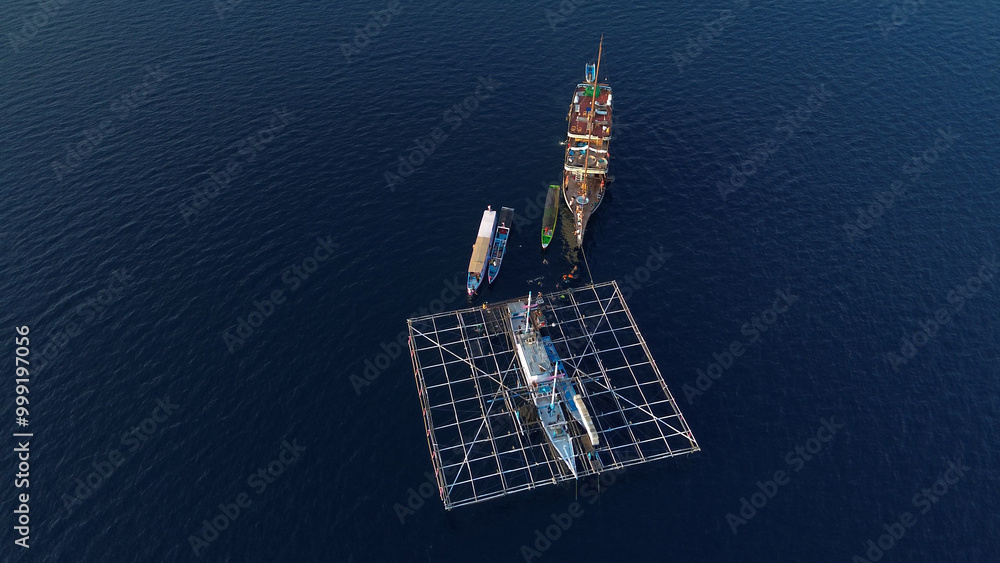 Whale shark in Indonesia. Feeding plankton to a whale shark from a ...