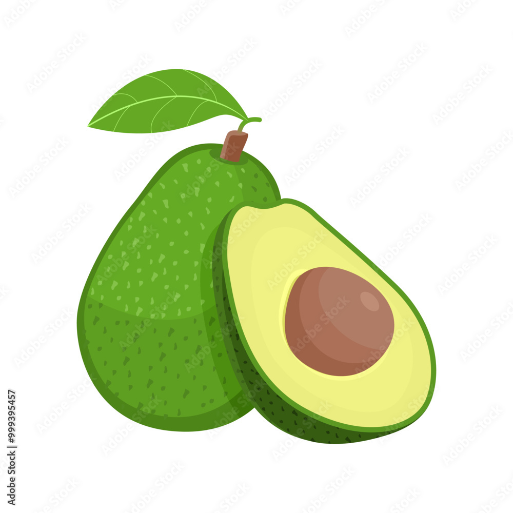 whole and half sliced avocado simple cartoon vector illustration ...