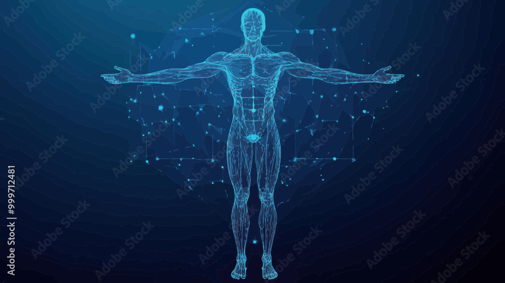 Digital Vitruvian Human: Da Vinci Anatomy with Polygonal Wireframe on ...