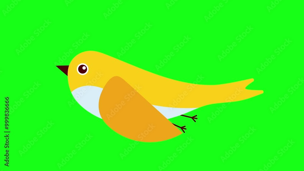 cute flying bird animation with greenscreen and white background ...