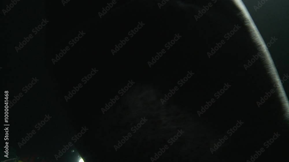 Low-angle close-up of a Greenland shark (Somniosus microcephalus ...