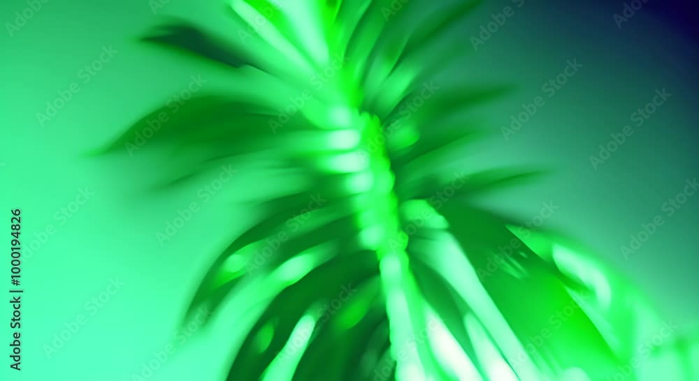 Shadow of palm tree leaves on a green screen background Chroma key ...