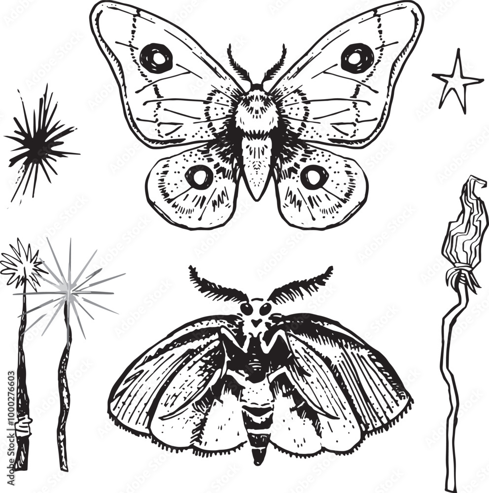 Line Set Witch item Halloween Clip art set Magic wand drawing skull ...