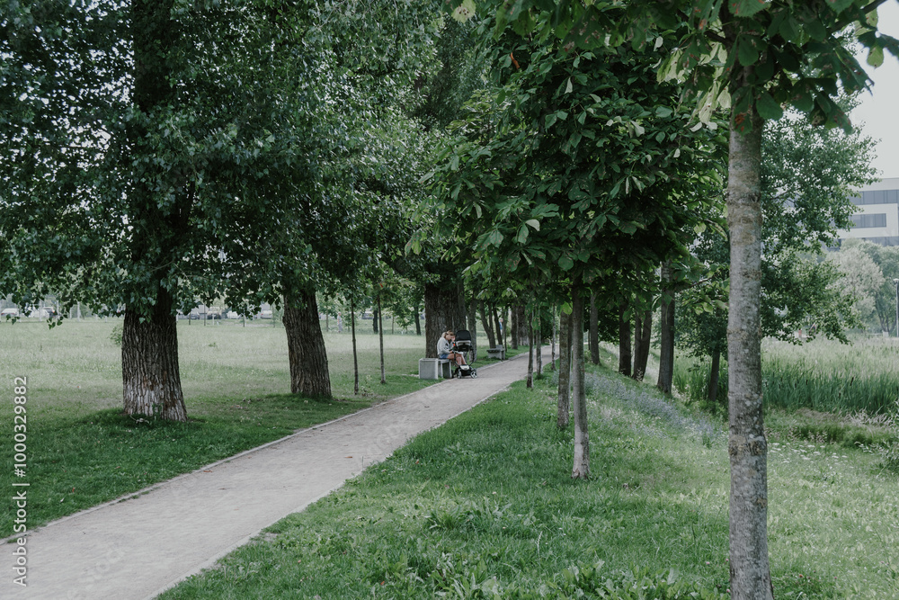 Summer time in the city, green landscape, blue sky and lush trees in ...