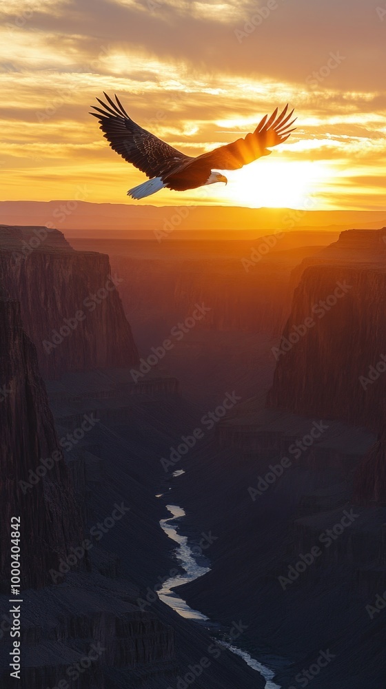 Bald Eagle Soaring High Over a Grand Canyon at Sunset, Capturing the ...