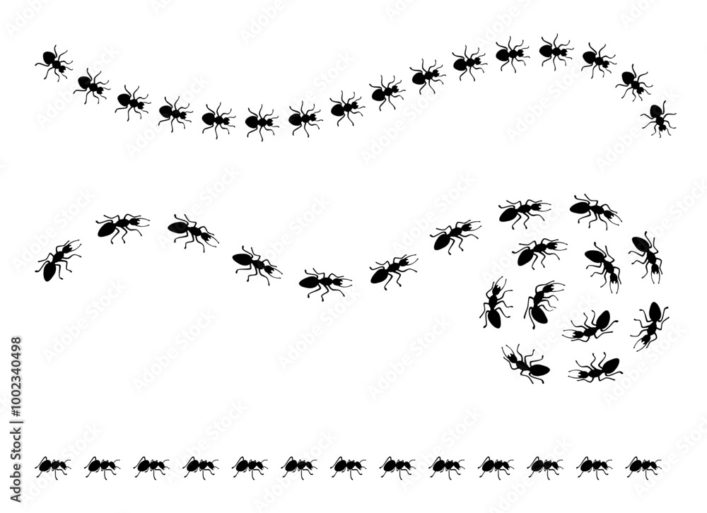 Black ants roads. Ant trails and paths, top view. Insects marching one ...