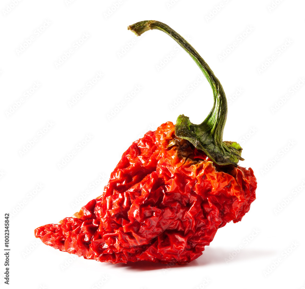 Red Carolina Reaper dry pepper. Is a variety of chili pepper have a ...