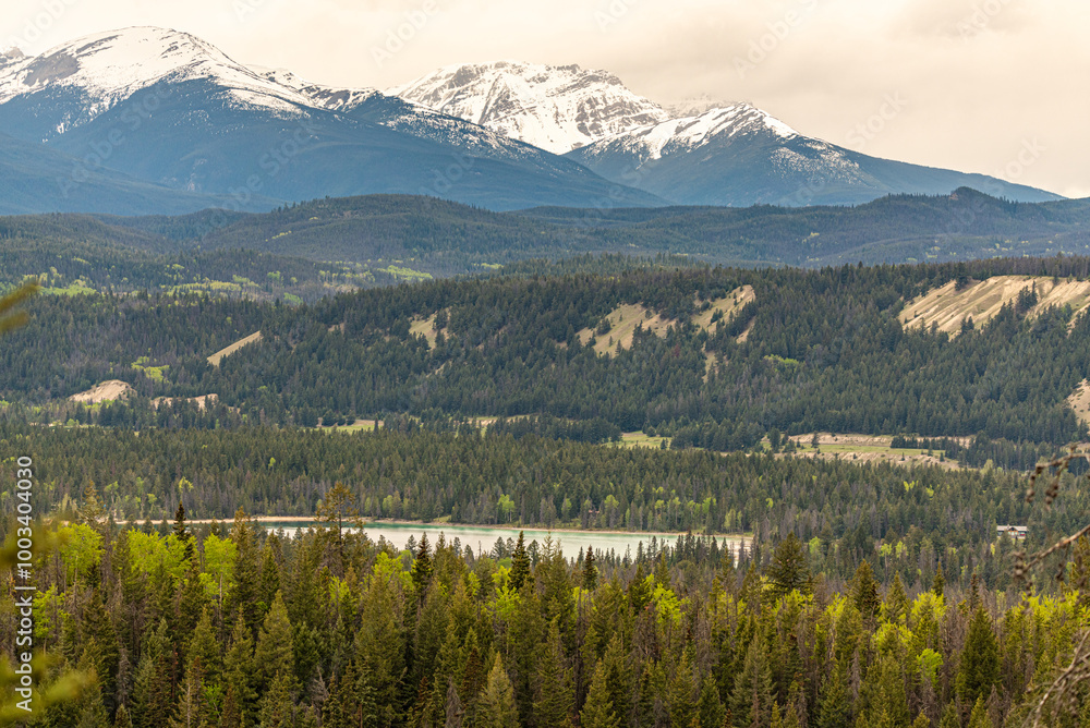 Incredible nature scenic view in Jasper National Park during spring ...