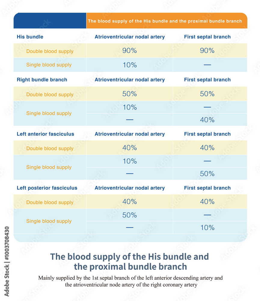 The His bundle and the proximal bundle branches are mainly supplied by ... The His bundle and the proximal bundle branches are mainly supplied by ...
