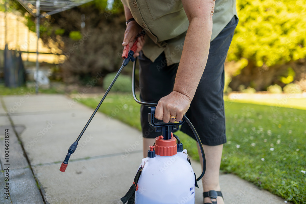 Woman spraying gray concrete patio paving slabs with liquid weed killer ...