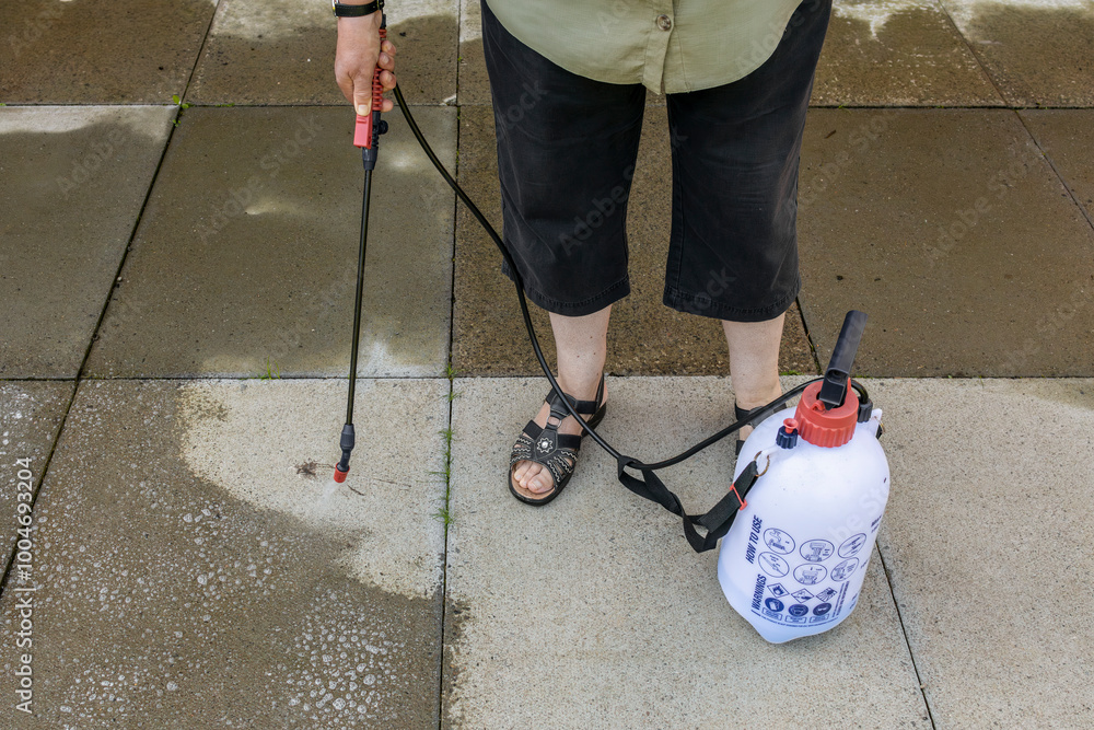 Woman spraying gray concrete patio paving slabs with liquid weed killer ...