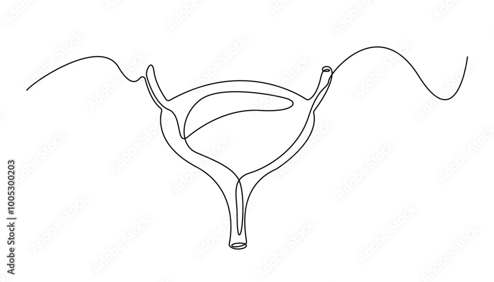 continuous line of the bladder. Single line anatomy of human body parts ...
