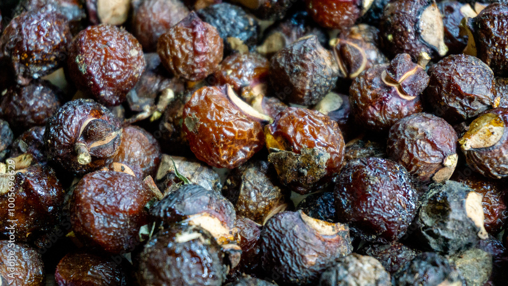 Sapindus rarak (Sapindus mukorossi, rerek, lamuran, Lerak). This fruit ...