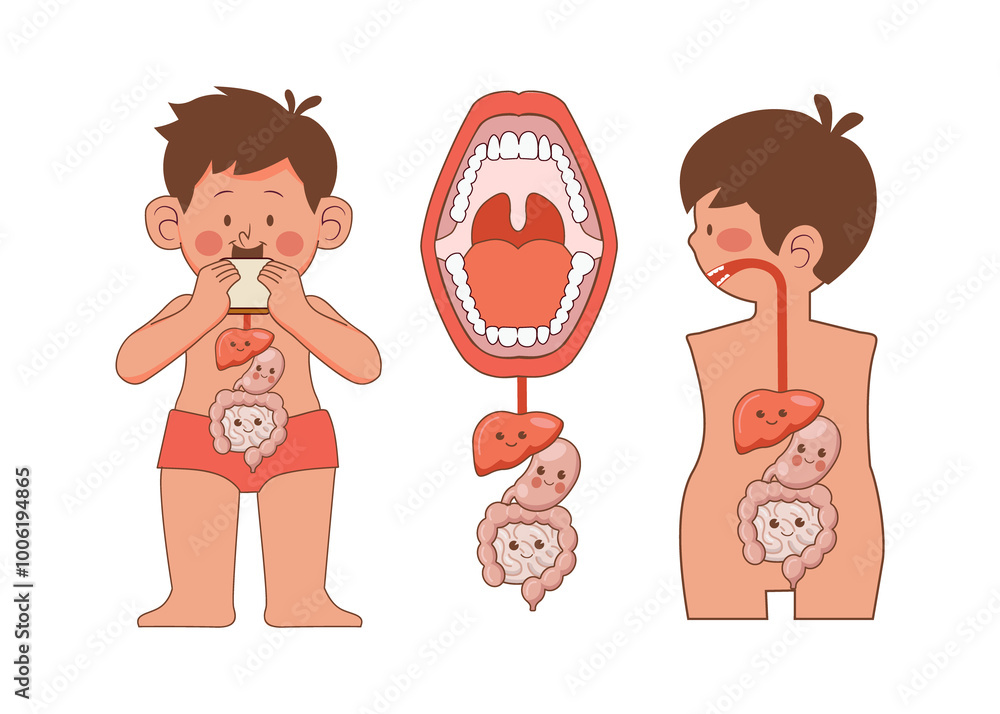 Children's cartoon illustration of the digestive system, showing food ...