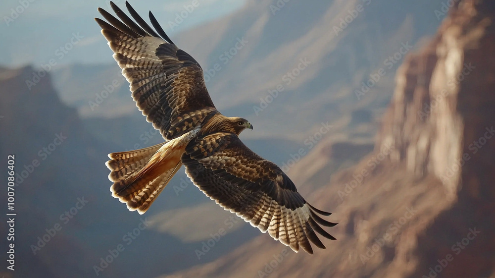 red tailed hawk gracefully soars over vast canyon, showcasing its ...