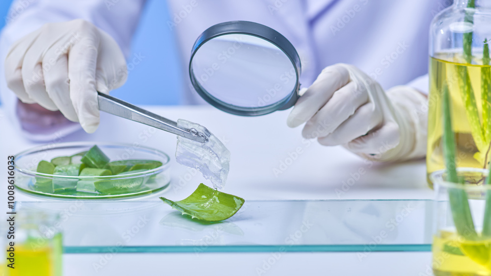 Aloe flesh is folded off from the aloe skin and placed on a clear plate ...