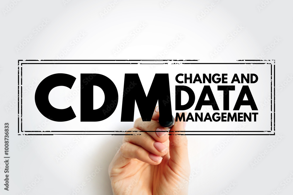 CDM Change and Data Management - helps solve business issues by ...