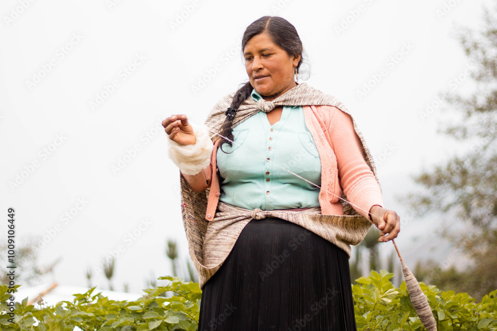 Mujer andina latinoamericana haciendo hilados de lana de oveja en el ...