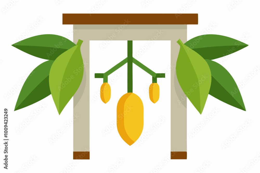 Mango leaves are hung at the entrance of the house as a sign of good ...