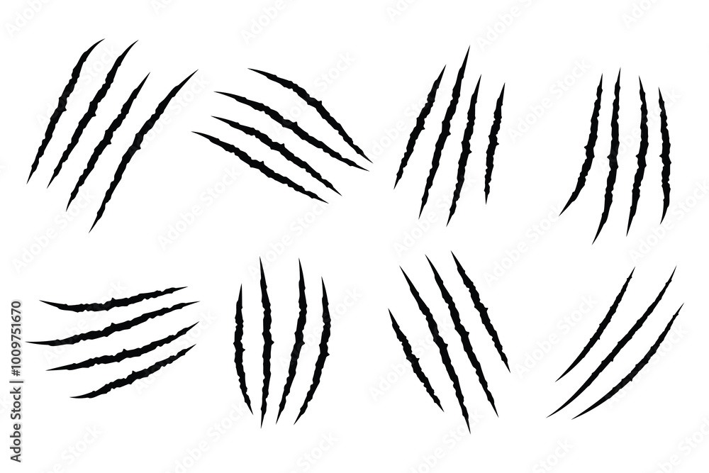 animal claw scratch marks on white background. Cat tiger paw shape ...