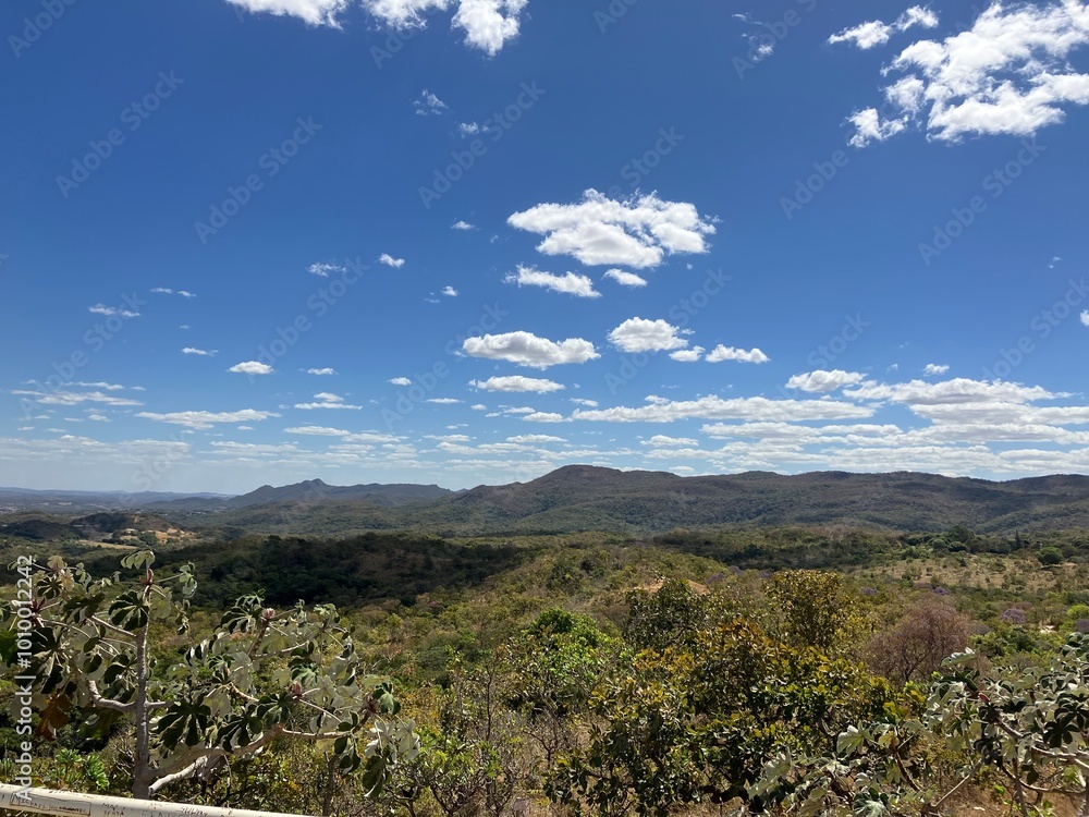 Paisagem natural em Goiás, Brasil, com o bioma Cerrado, árvores secas e ...