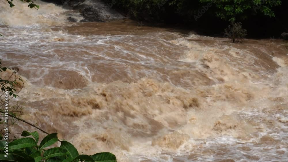 A strong current near a waterfall. Floods flowing in mountain rivers ...