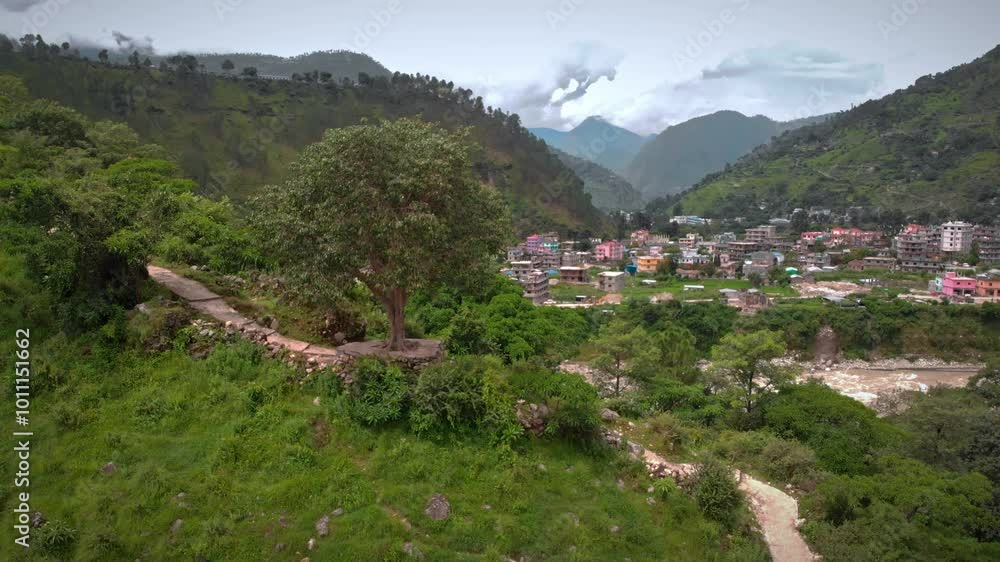 Aerial view of a rest stop under a big tree in a rural Asian Nepali ...