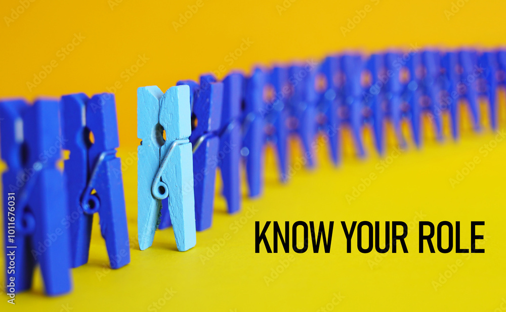 Know your role. Human Resource Management and Business team building ...