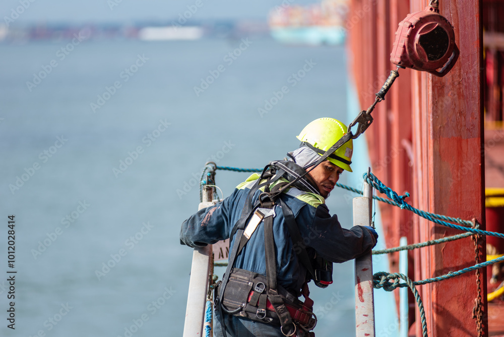 A deckhand prepares the pilot ladder as the ship readies for port entry ...