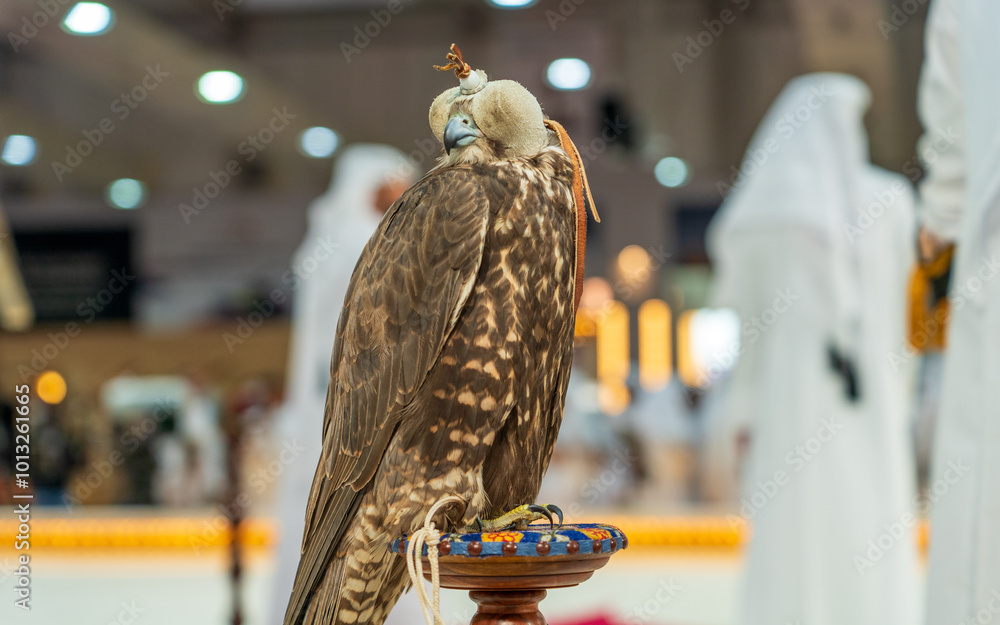 A majestic falcon captured in a striking pose, showcasing its sharp ...