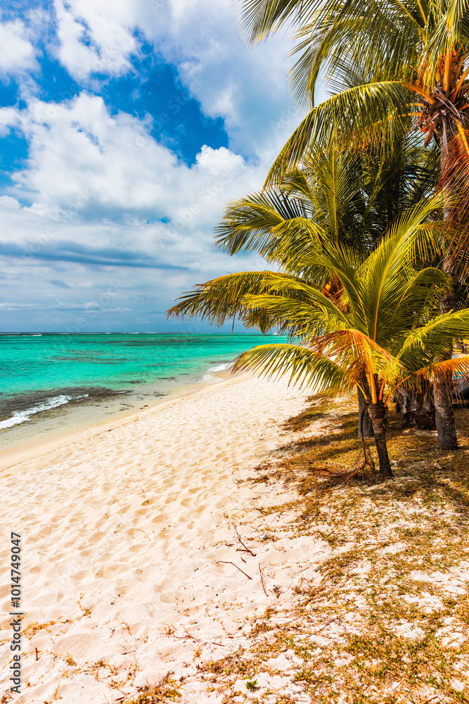 Palm trees on the tropical Le Morne beach, Mauritius. Tropical vacation ...