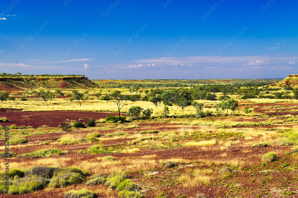 Savanna landscape with low hills, scattered trees and red earth in the ...