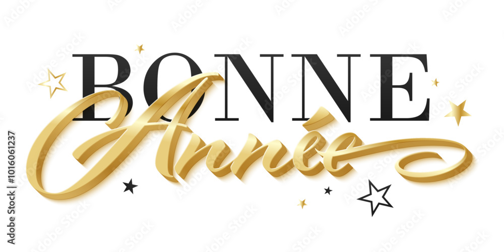 BONNE ANNEE (HAPPY NEW YEAR in French) black and metallic gold vector ...