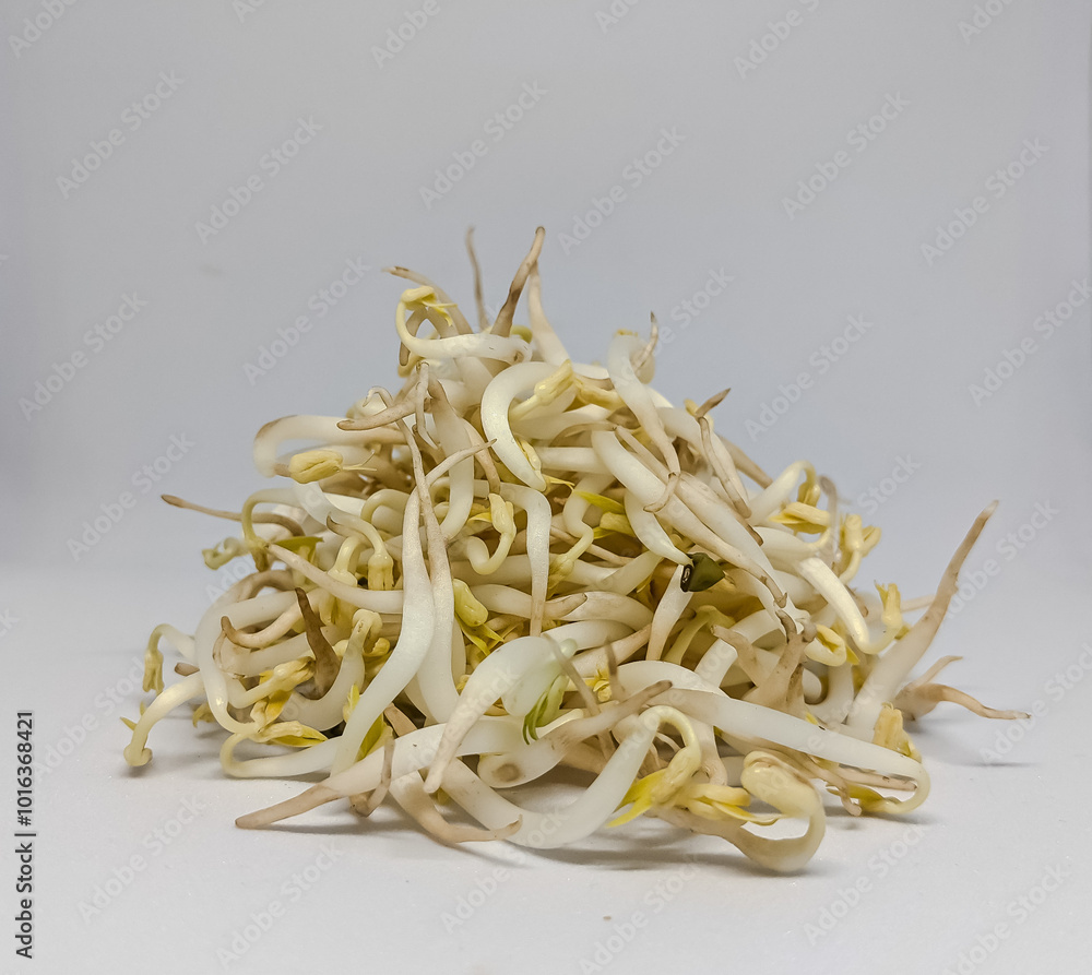 Sprouted Mung Bean or Green Gram Bean lsolated on White Background with ...